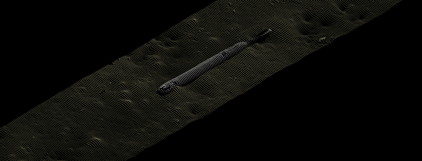 Meet Our Sister Company: Forcys - Voyis