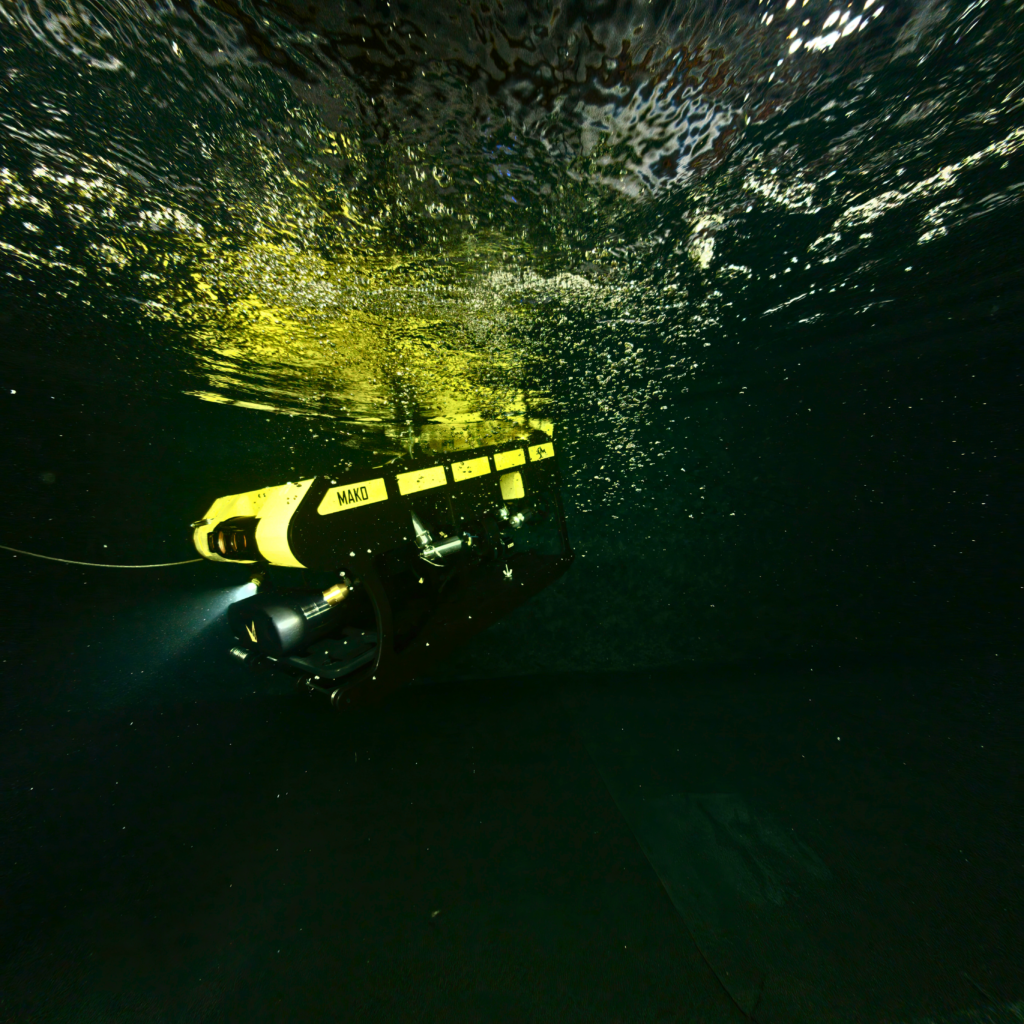 Discovering the Depths: SEAMOR and Voyis Collaborative Technology - Voyis