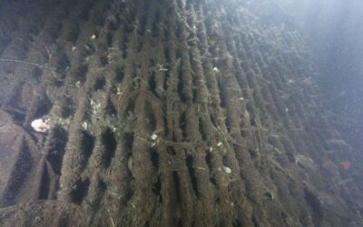 Exploring New Depths: The Key Benefits of the Stereo Camera 300m Rated ...