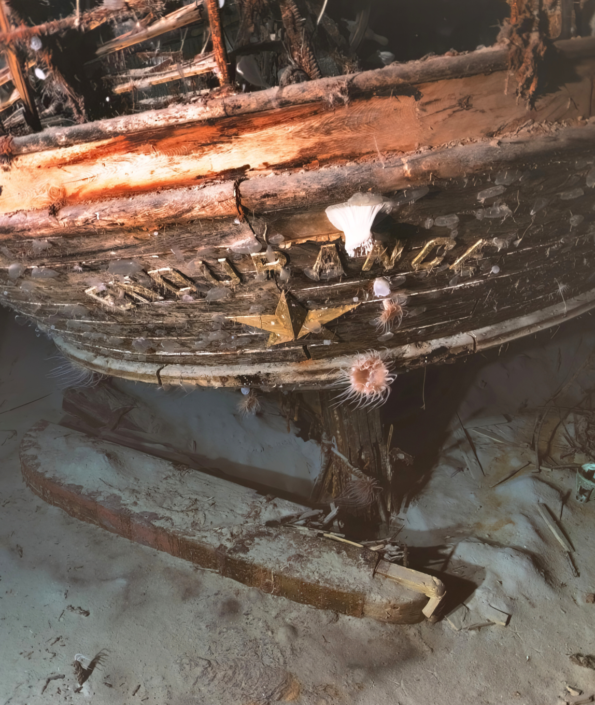 Unveiling a New Perspective: Exclusive True-Colour Image of Endurance ...