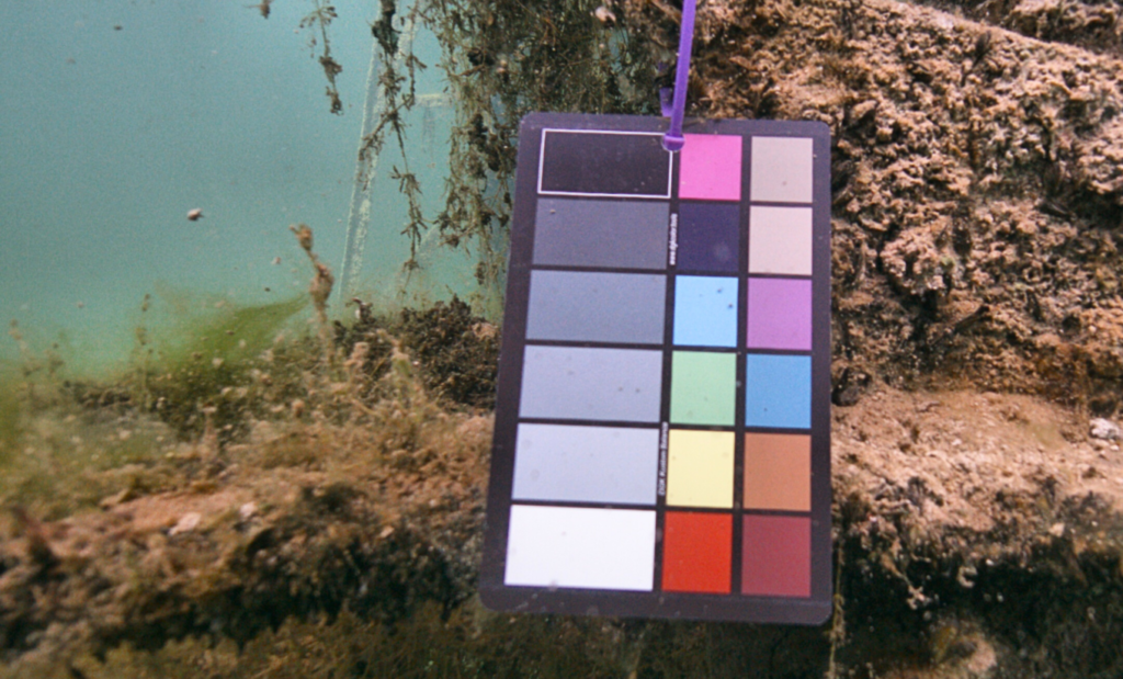 Seeing the Ocean in True Colour: Why It Matters - Voyis