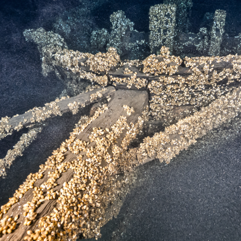 Voyis Discovery Stereo Camera Captures First-Ever Images of Shipwrecks ...